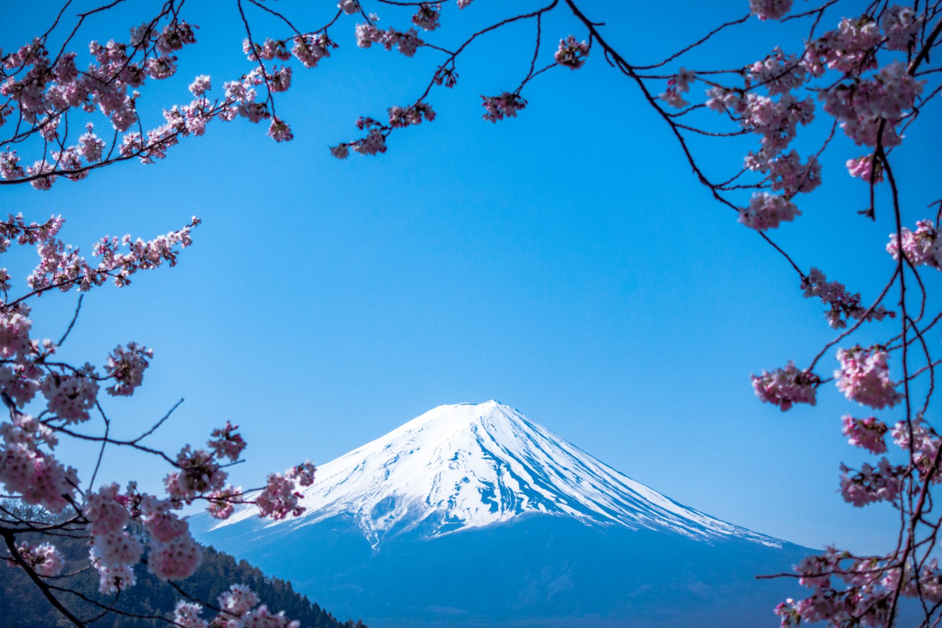 The Timeless Beauty of Mt. Fuji