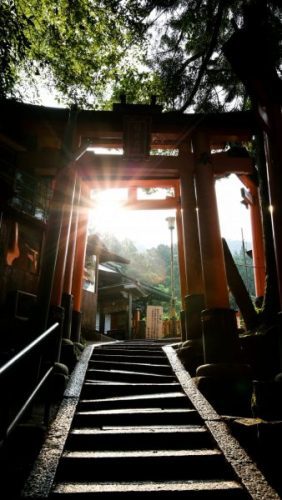 Explore Japan's former Imperial Capitals on JR Line - Things to Do in Kyoto