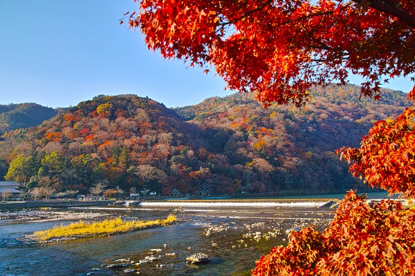 Where to Enjoy Beautiful Autumn Scenery in Japan