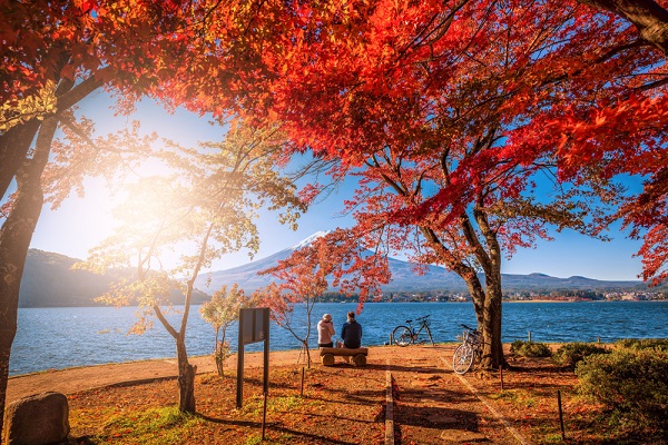 Where to Enjoy Beautiful Autumn Scenery in Japan