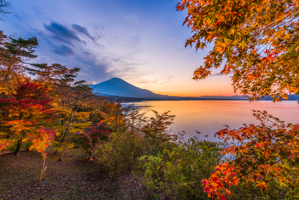 Where to Enjoy Beautiful Autumn Scenery in Japan