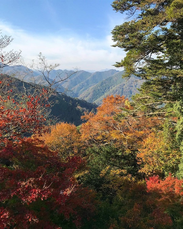 Where to Enjoy Beautiful Autumn Scenery in Japan