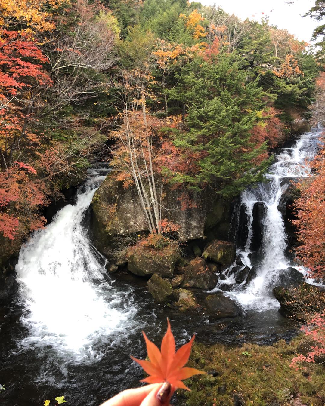 Where to Enjoy Beautiful Autumn Scenery in Japan