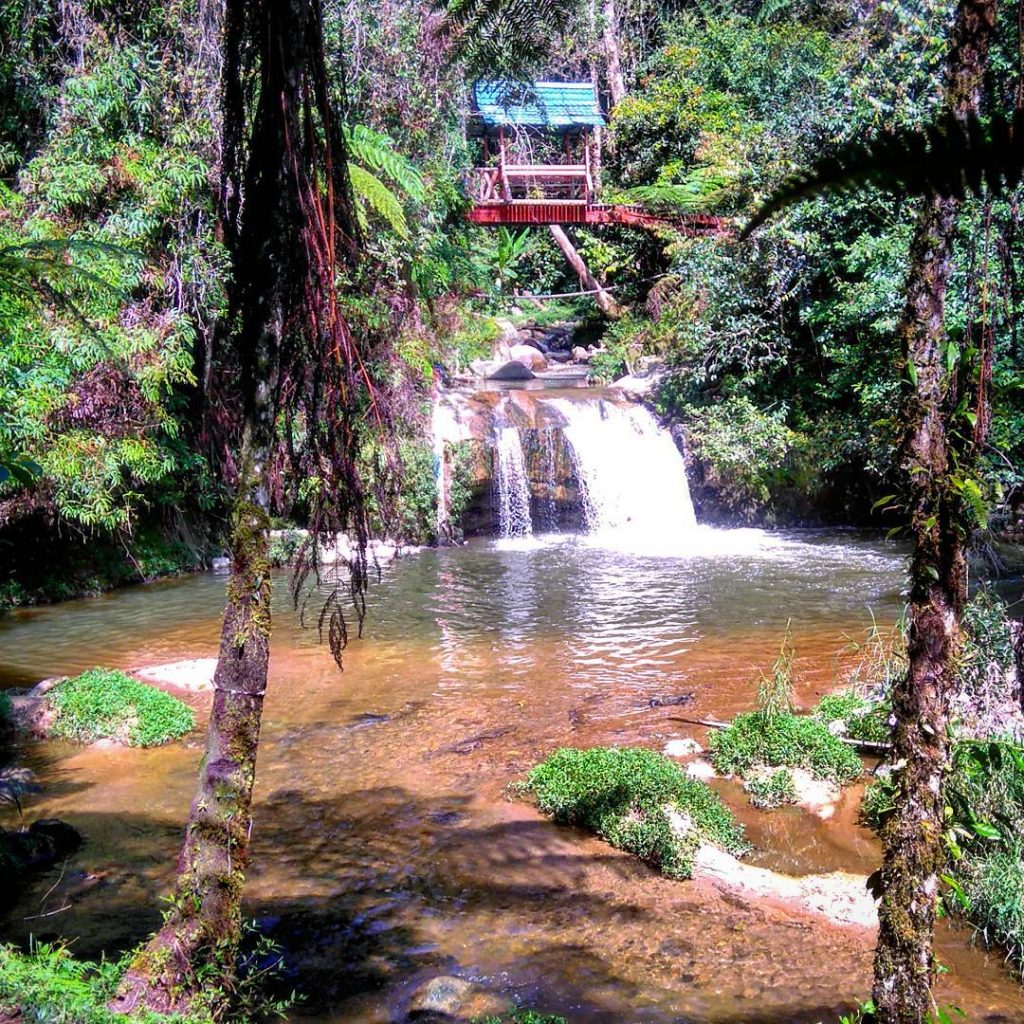 Escape from the City's Heat in Cameron Highlands