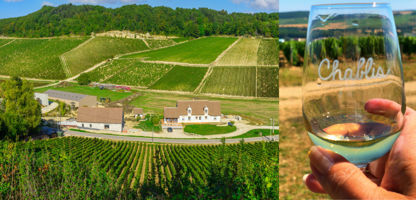 Best Chablis Wines from Burgundy to Drink Right Now - GetIt by Changi ...