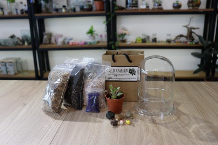 J2 Terrarium is offering Terrarium Workshop at $38 and bring a friend ...