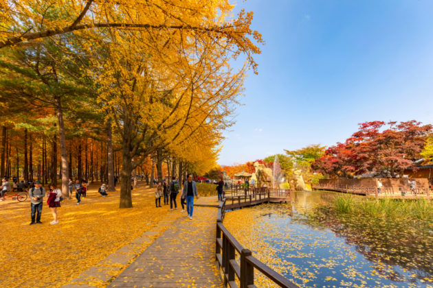 Activities in Seoul: What You Can Do for Under SGD$100