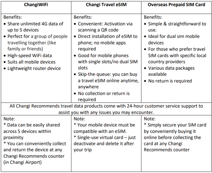 Top Travel Data Options: How to Choose One That Suits Your Travelling Needs