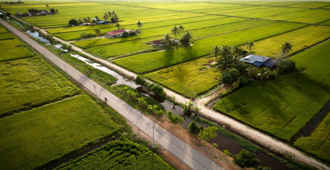 Discover the Scenic Beauty of Sekinchan Village at the North of Kuala ...