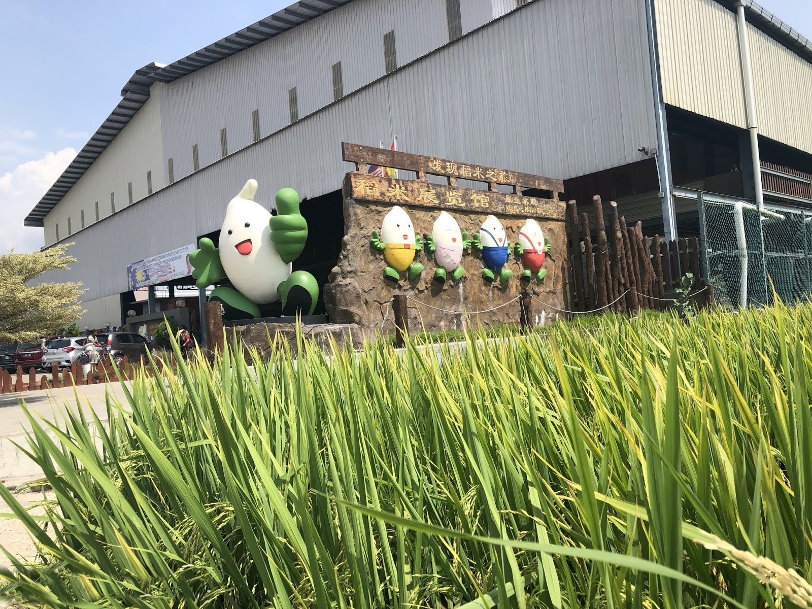 Discover the Scenic Beauty of Sekinchan Village at the North of Kuala ...