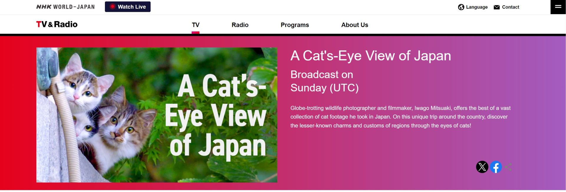 Japan: As Seen by Cats. No Seriously, This is a Thing. | A Cat's-Eye View of Japan by NHK World