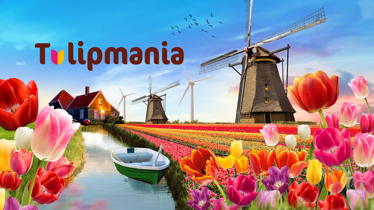 Tulipmania 2024: Free Tulips Giveaway at Gardens by the Bay