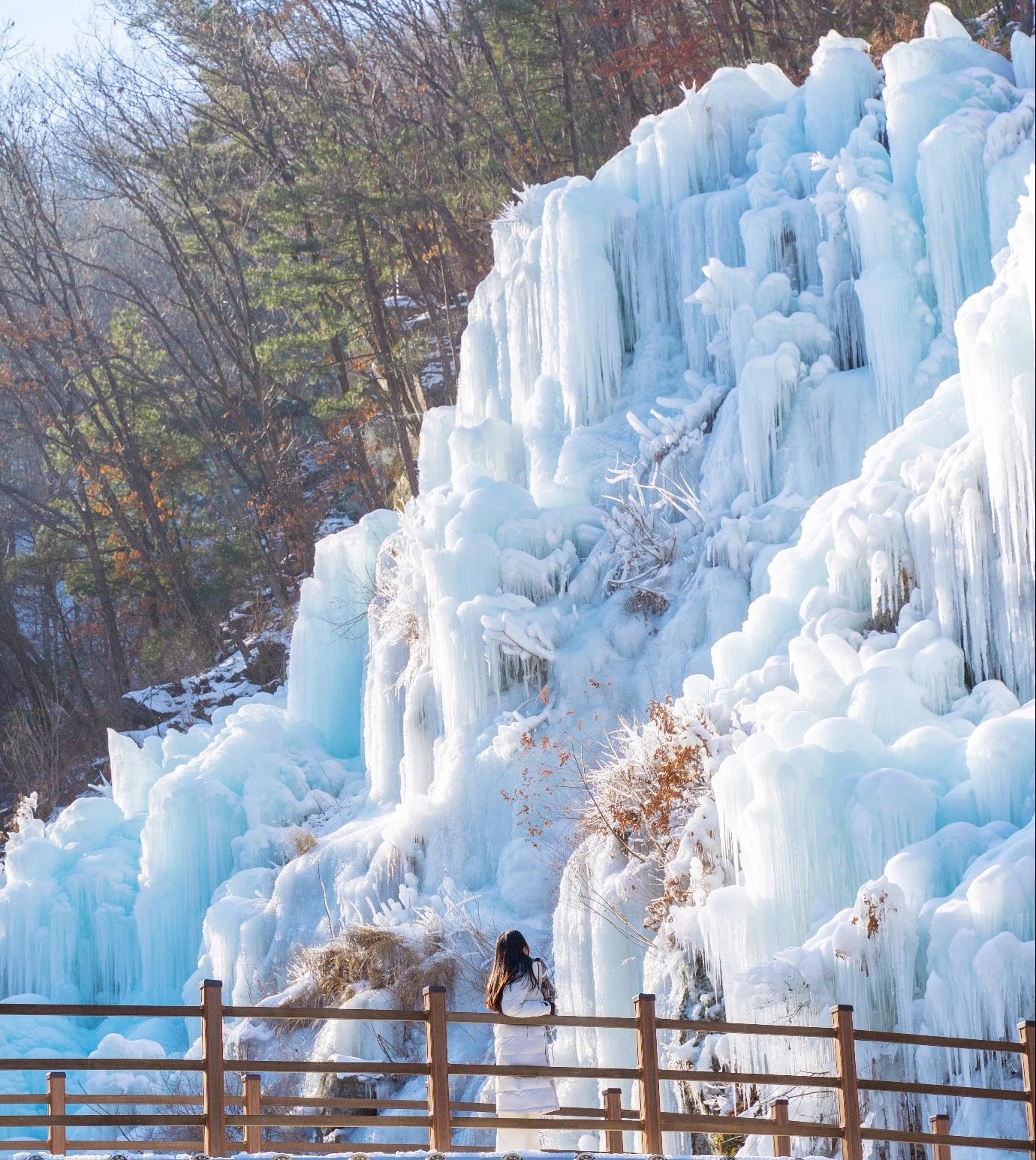 Discover Korea’s Natural Wonders with Eobi Ice Valley Tours