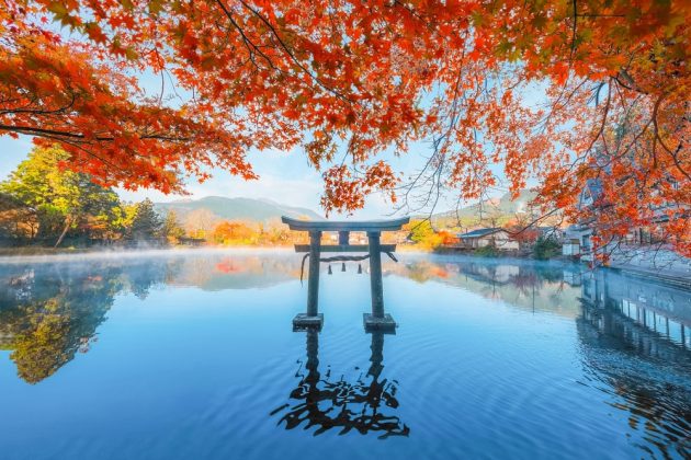 Discover Northern Kyushu: Best Things to Do and Tips for First Time ...