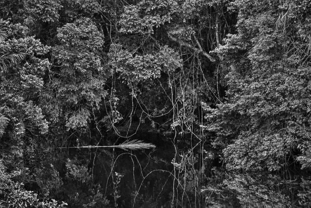 Amazônia: Sebastião Salgado's Powerful Portraits of the Amazon Make ...