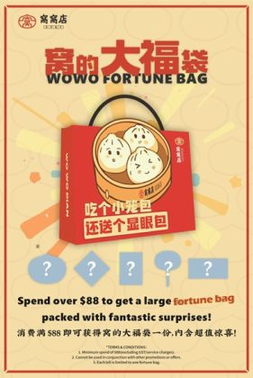 Bring Home Limited Edition Giant Fortune Bag When You Dine at Wo Wo ...