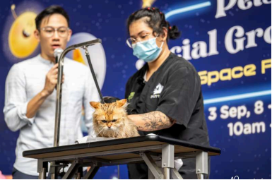 Singapore Cat Carnival 2025 at Marina Bay Sands Expo & Convention Center