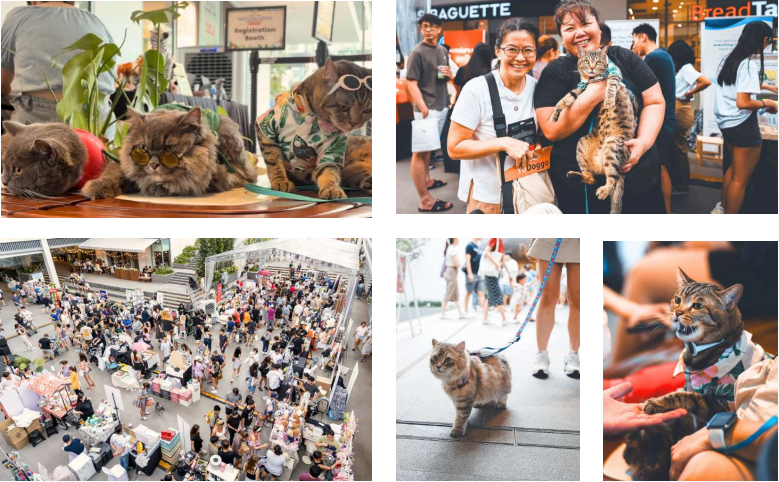 Singapore Cat Carnival 2025 at Marina Bay Sands Expo & Convention Center