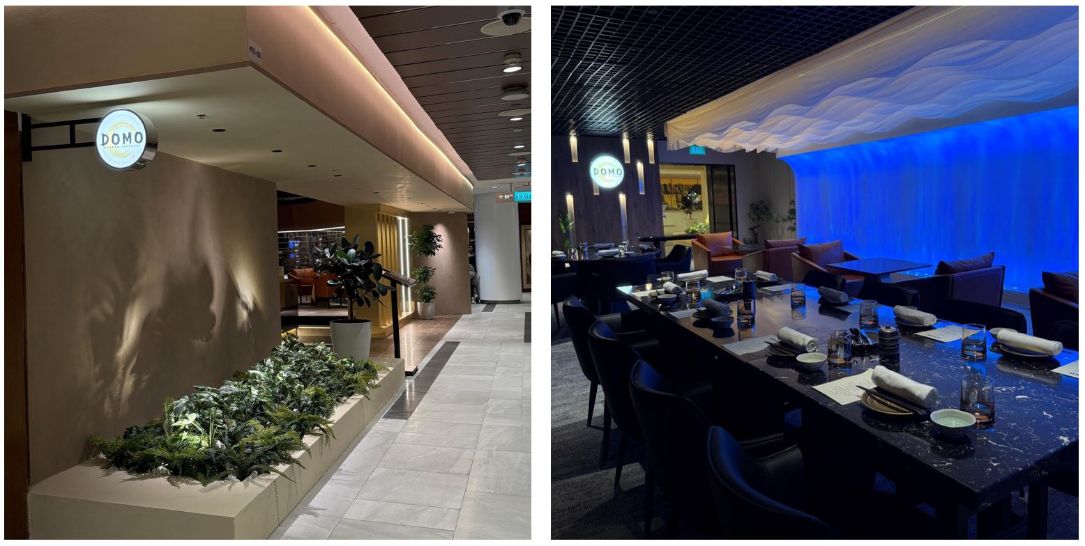 DOMO: Where East Meets West on the Robata Grill