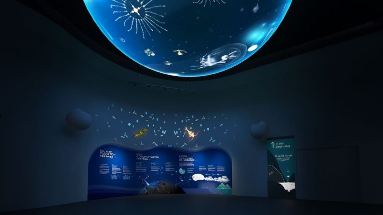 Singapore Oceanarium opens with 22 zones, AR tech, and some serious ...